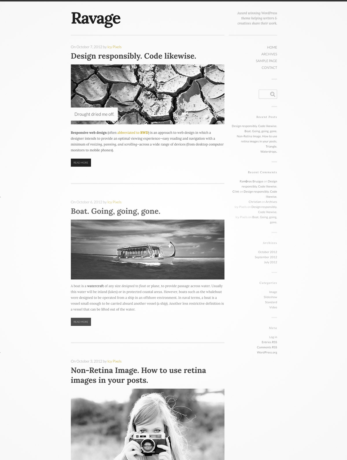 40+ Premium Responsive and Retina Display Ready WordPress Themes | Naldz Graphics