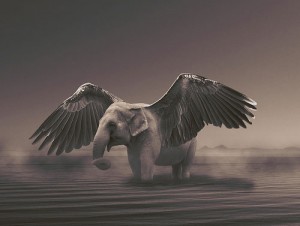 30+ Weirdest Animal Photo Manipulations | Naldz Graphics