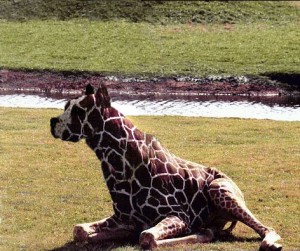 30+ Weirdest Animal Photo Manipulations | Naldz Graphics