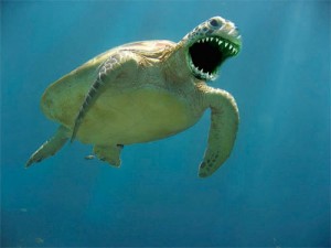 30+ Weirdest Animal Photo Manipulations | Naldz Graphics