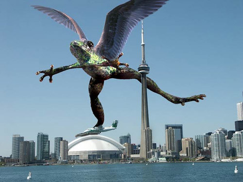 35+ Funny Animal Photo Manipulations | Naldz Graphics