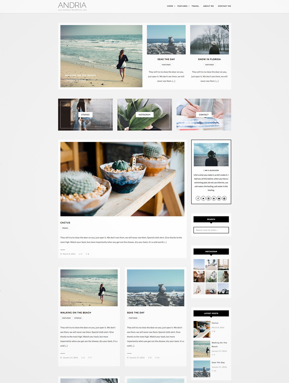A Collection of Minimal Wordpress Themes | Naldz Graphics