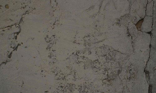 Collection of 33 Purposive Plaster Textures | Naldz Graphics