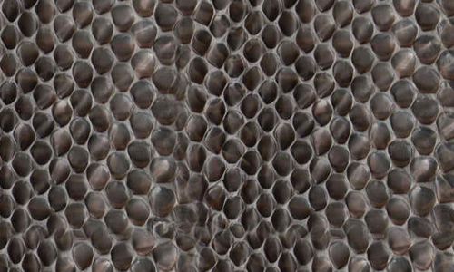 33 Sets of High Quality Reptile Skin Texture | Naldz Graphics