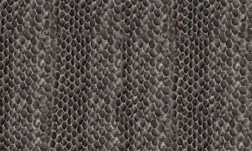 33 Sets of High Quality Reptile Skin Texture | Naldz Graphics