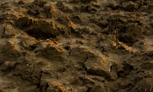 40+ Mucky but Useful Mud Textures | Naldz Graphics