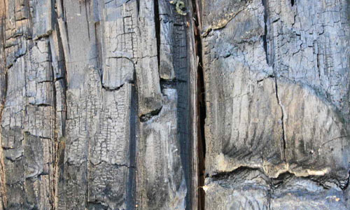 30 Free Burnt Wood Texture with Great Quality | Naldz Graphics