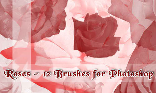 26 Lovely Sets of Rose Brushes | Naldz Graphics