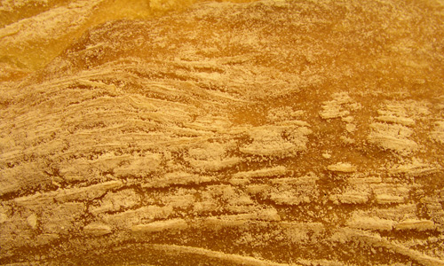 A Freebie Collection: 33 Weird and Unusual Bread Textures | Naldz Graphics