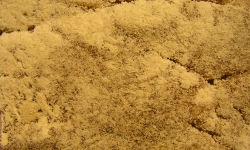 A Freebie Collection: 33 Weird and Unusual Bread Textures | Naldz Graphics