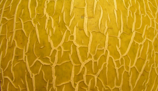 30+ Weird and Unusual Fruit Textures for Free | Naldz Graphics