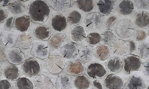 Compilation of High Resolution Log Texture | Naldz Graphics