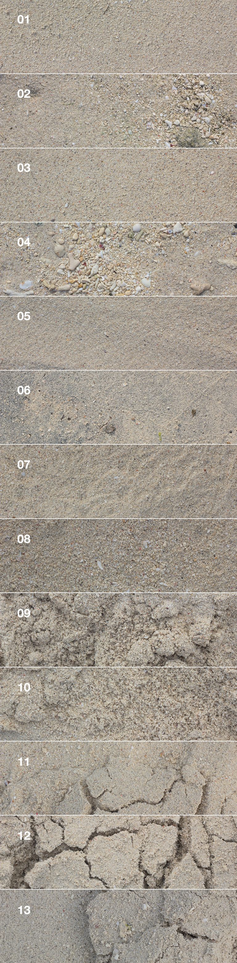 13 Free High Resolution Sand Textures